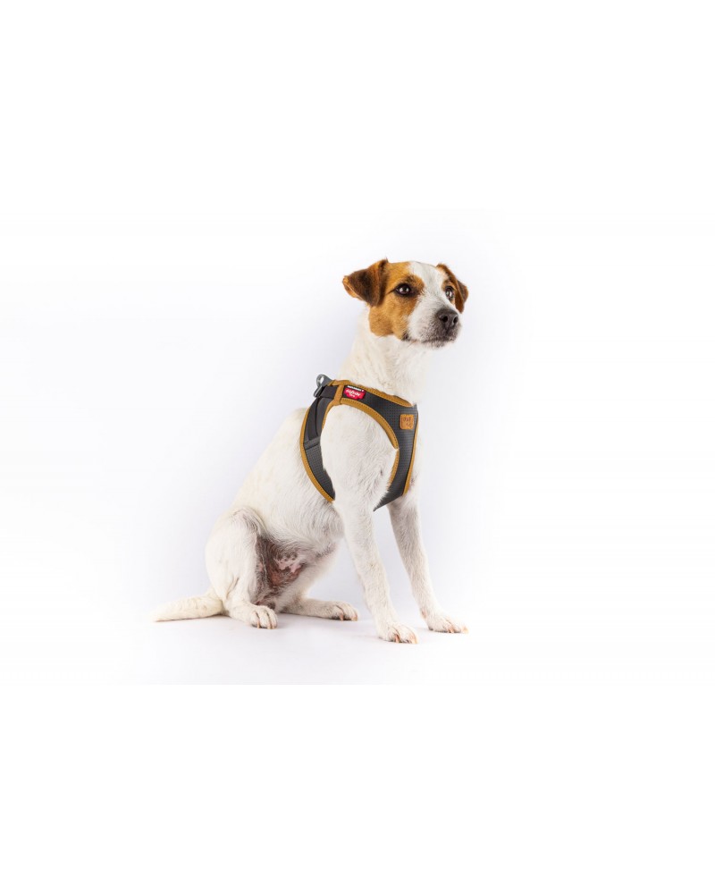 Pettorina Vegana curli Clasp Vest Harness, pettorina in mela per cane